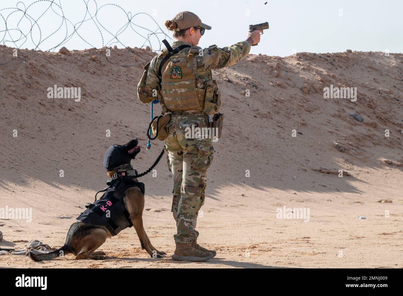 Security forces k9 handler dog hi-res stock photography and images - Alamy