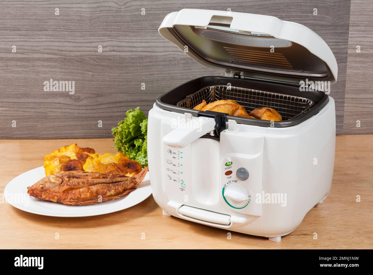 Household kitchen - A white automatic electric fryer pot Stock Photo ...