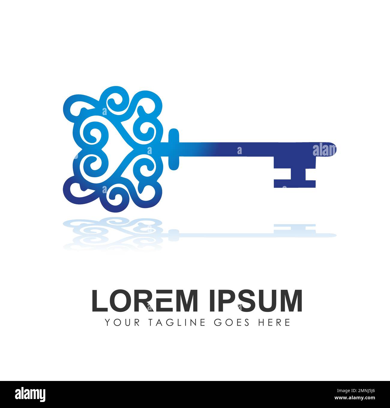 Key Logo Illustration Vector icon Sign illustration in white background ...