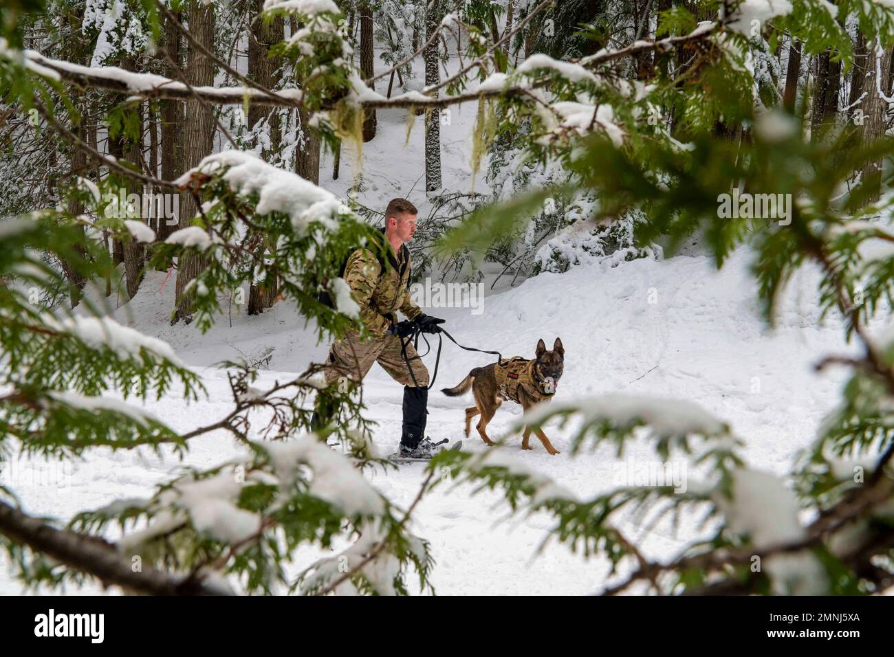 336th training group hi-res stock photography and images - Alamy