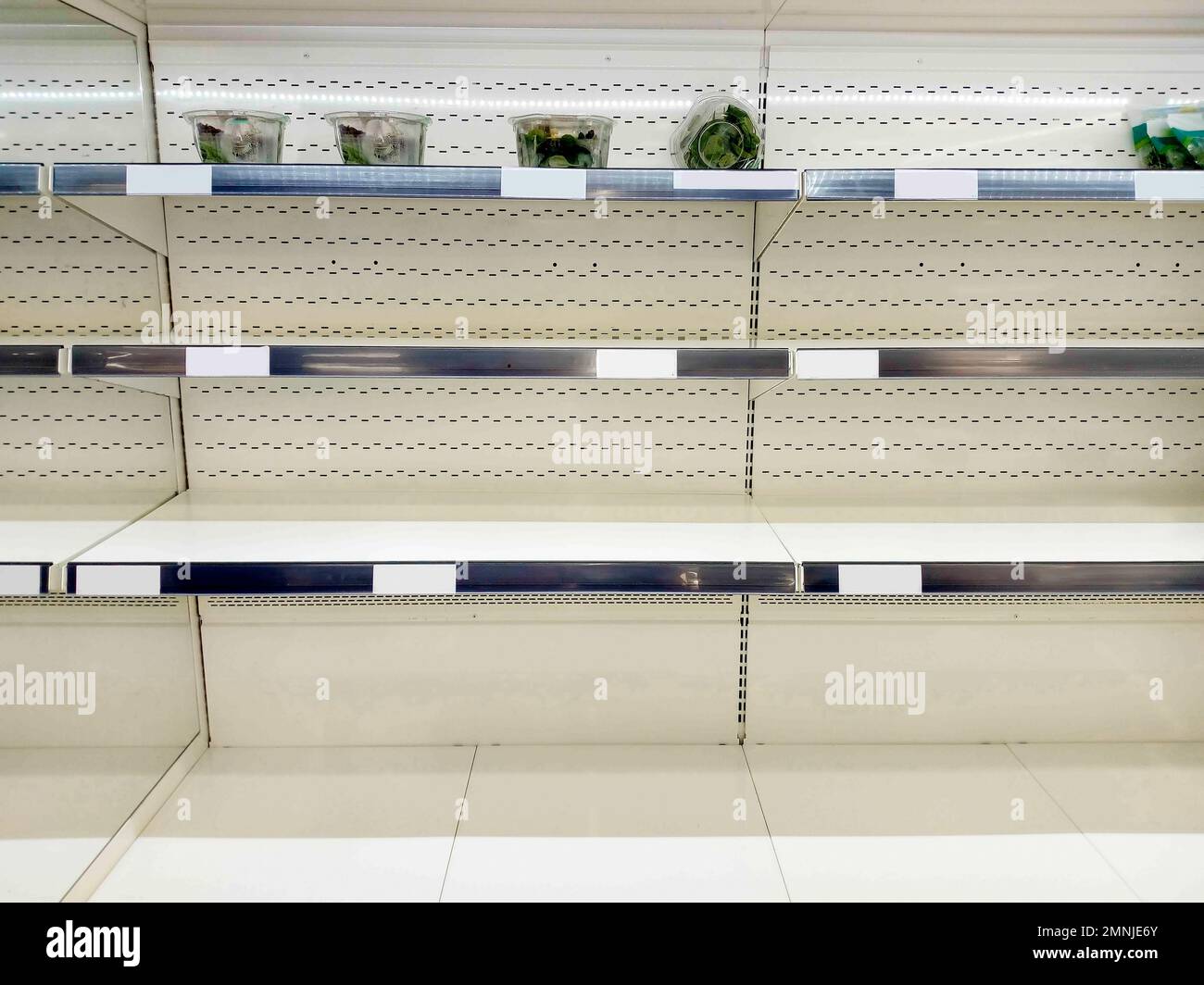Empty shelf hurricane hi-res stock photography and images - Alamy
