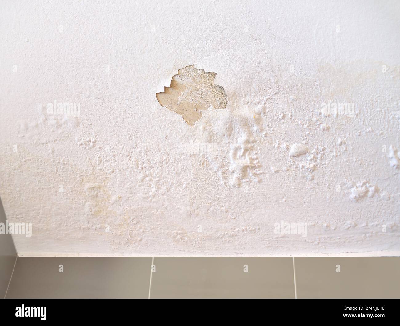 Ceiling panels damaged as a moisture in the roof from rainwater leakage ...