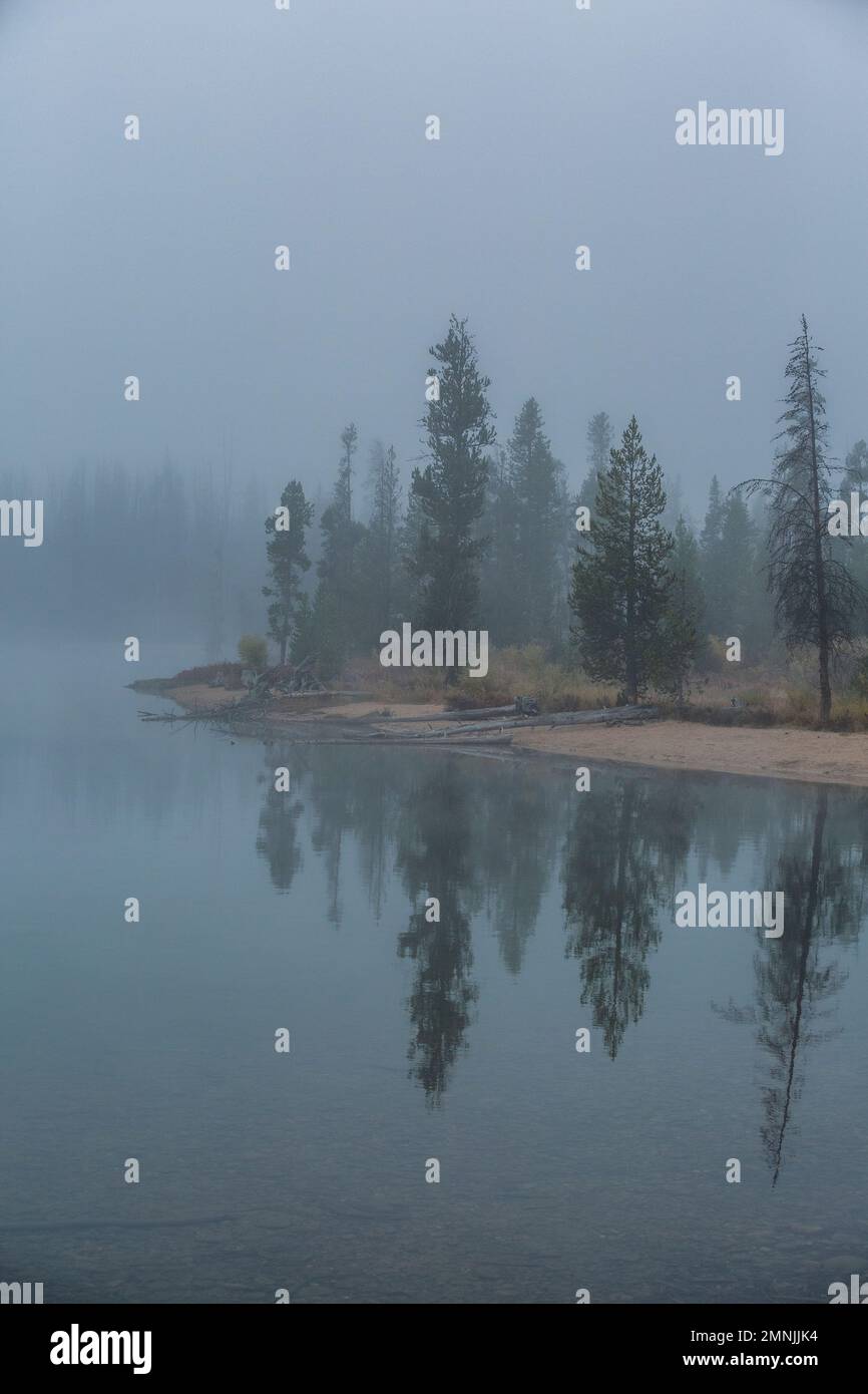 USA, Idaho, Stanley, Foggy lake shoreline Stock Photo - Alamy