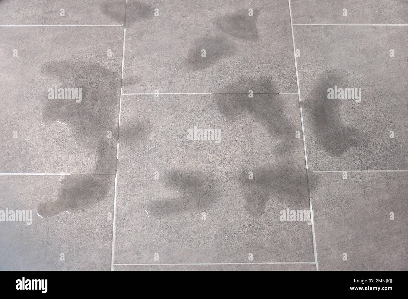 Wet floor square tile at home Stock Photo - Alamy