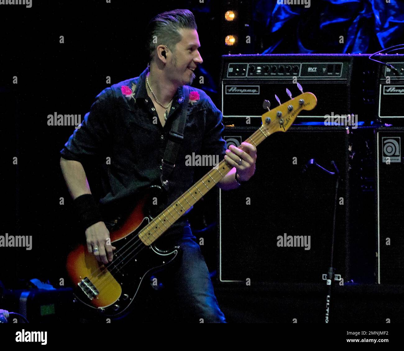 The English/American rock band The Pretenders, with bass player Nick ...