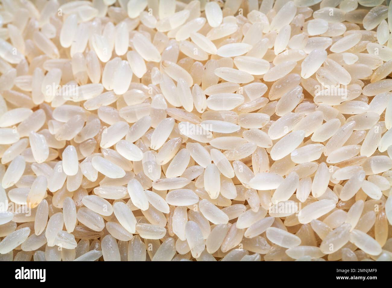 brown rice integral, used for risotto.texture and background Stock ...