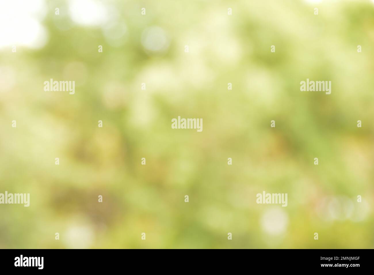 Fuzzy photo hi-res stock photography and images - Alamy