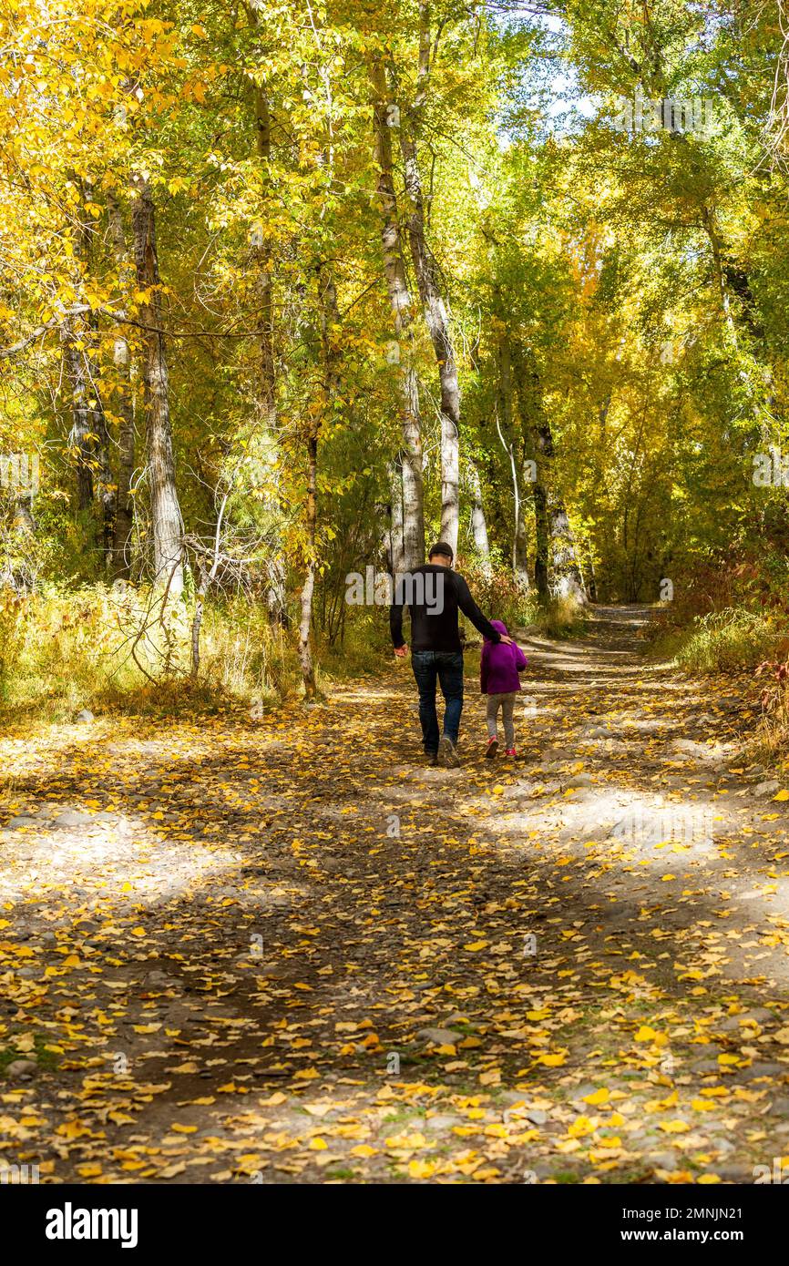 USA, Idaho, Hailey, Father and daughter (6-7) walk through forest in ...