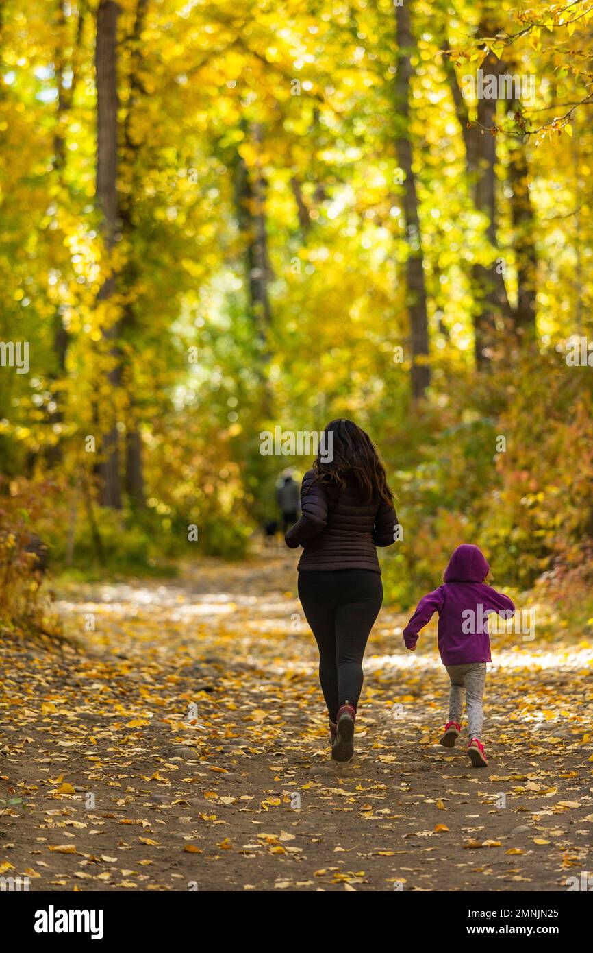 USA, Idaho, Hailey, Mother and daughter (6-7) run through the forest ...