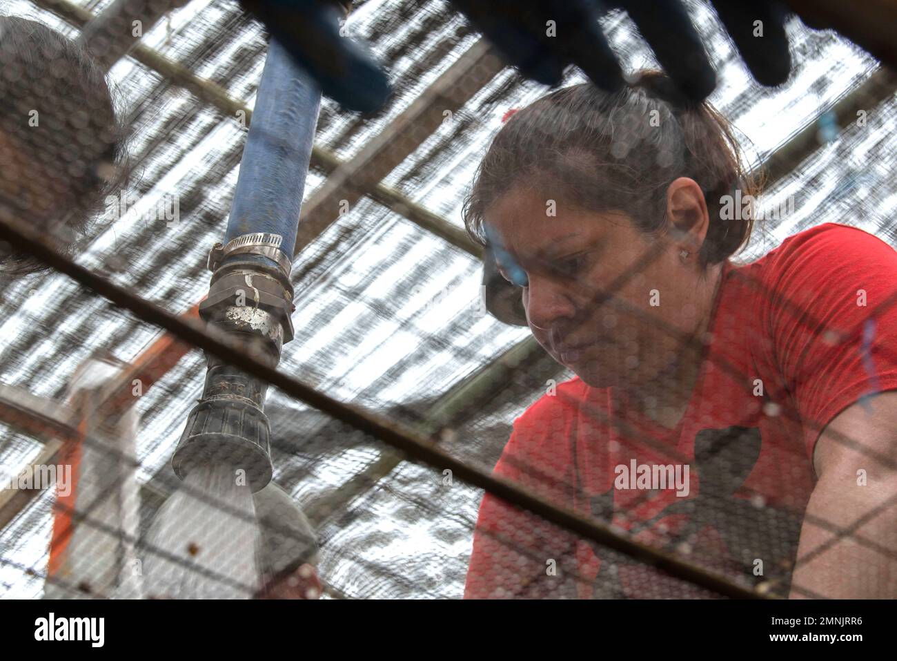 U.S. Army Staff Sgt. Isis Guerra, Defense POW/MIA Accounting Agency ...