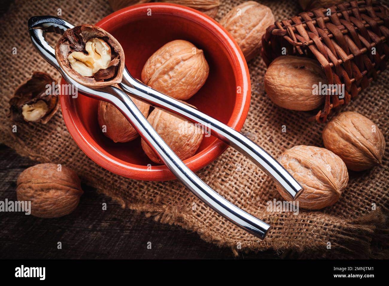 Handful of walnuts on a sheet of burlap with the shell broken and ...