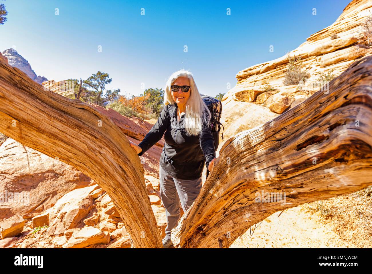 Female from usa hi-res stock photography and images - Alamy