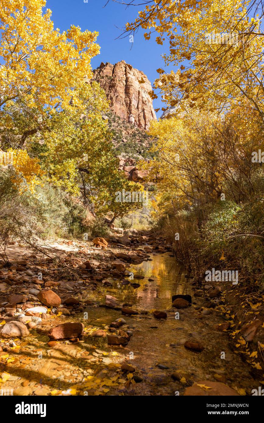 Creek autumn foliage in hi-res stock photography and images - Alamy