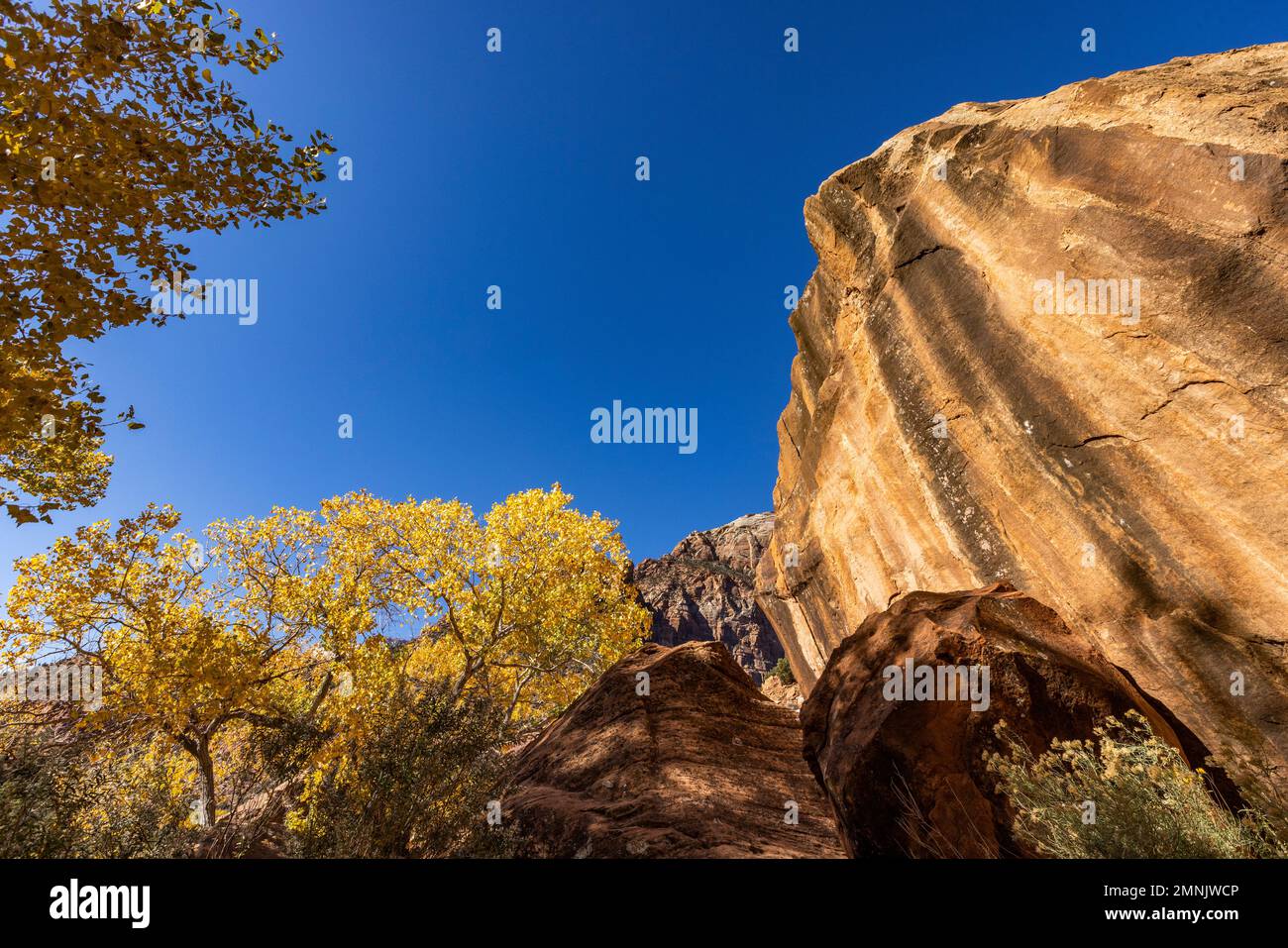 Foliage rocks hi-res stock photography and images - Alamy
