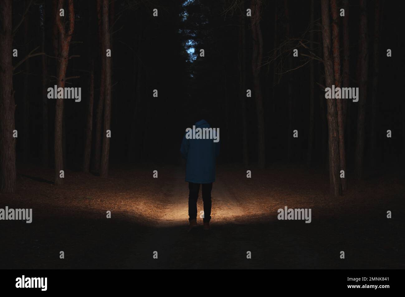 Man flashlight trees hi-res stock photography and images - Alamy