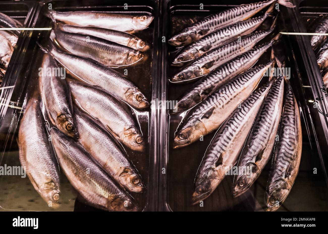 Different types of fresh fish in supermarket, closeup Stock Photo - Alamy