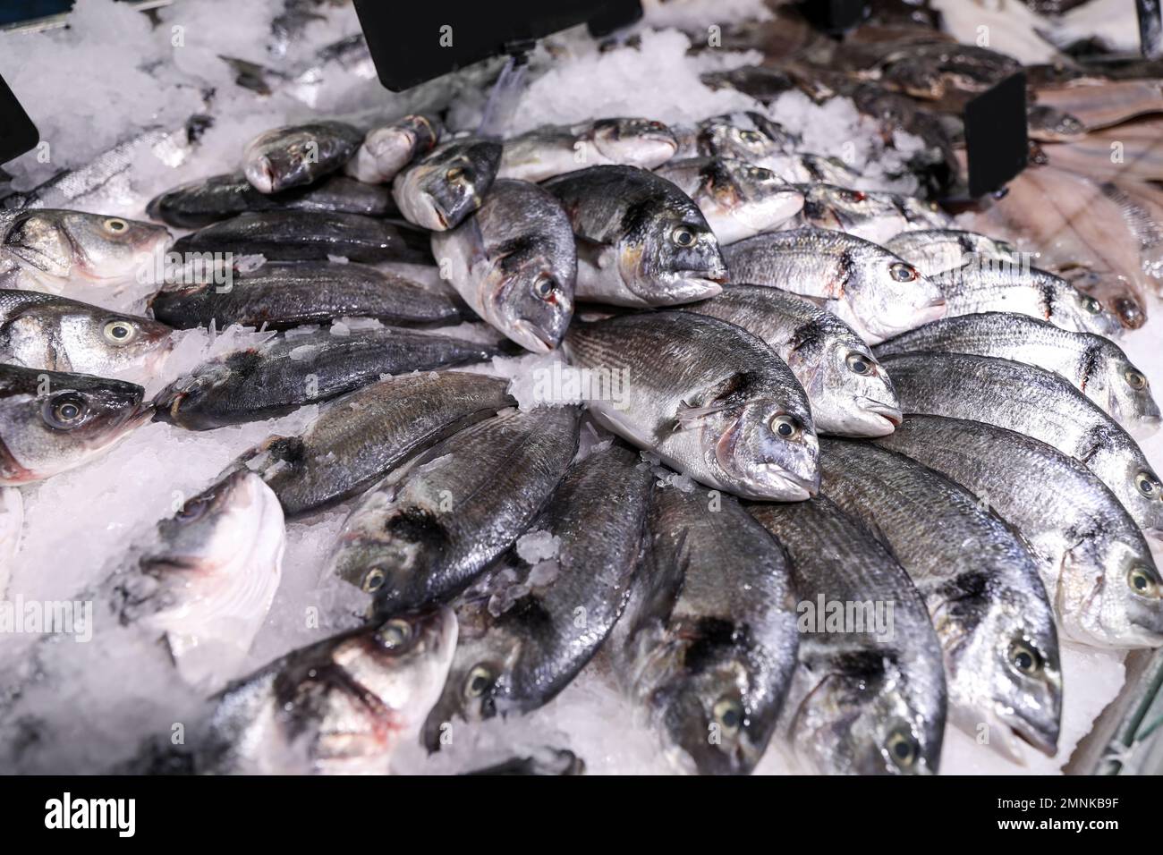 Fresh fish counter in supermarket hi-res stock photography and images ...
