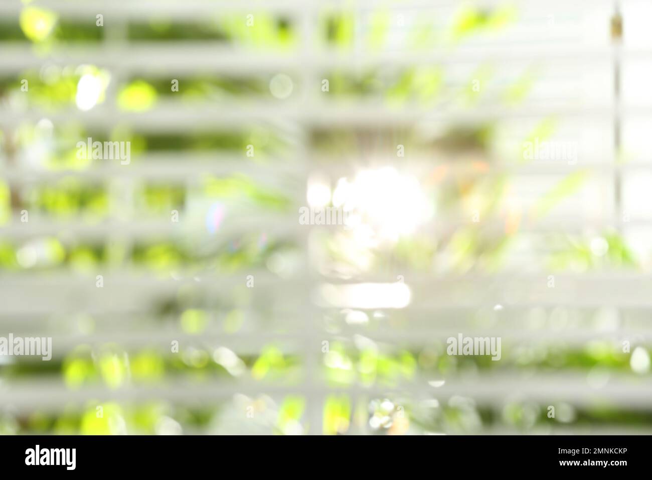 Blurred view through window on garden in morning Stock Photo - Alamy