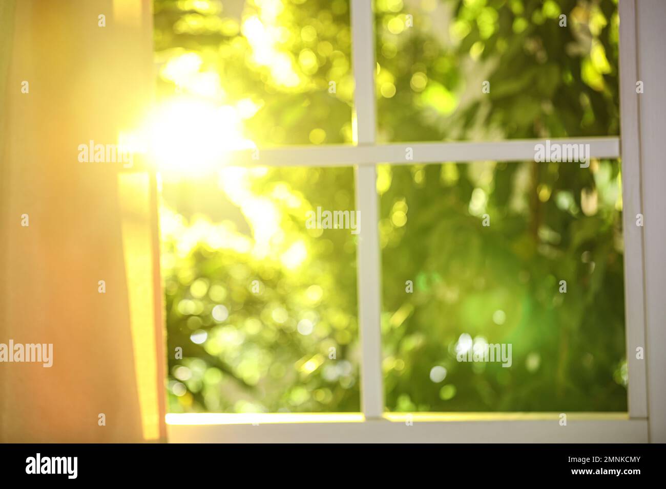 Blurred view through window on garden in morning Stock Photo - Alamy