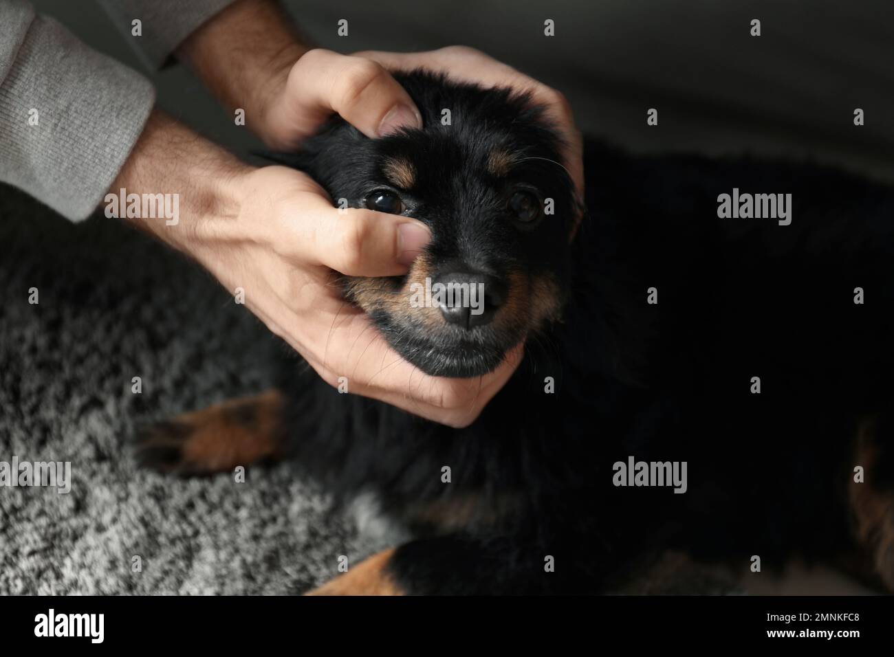 Dog scared man hi-res stock photography and images - Alamy