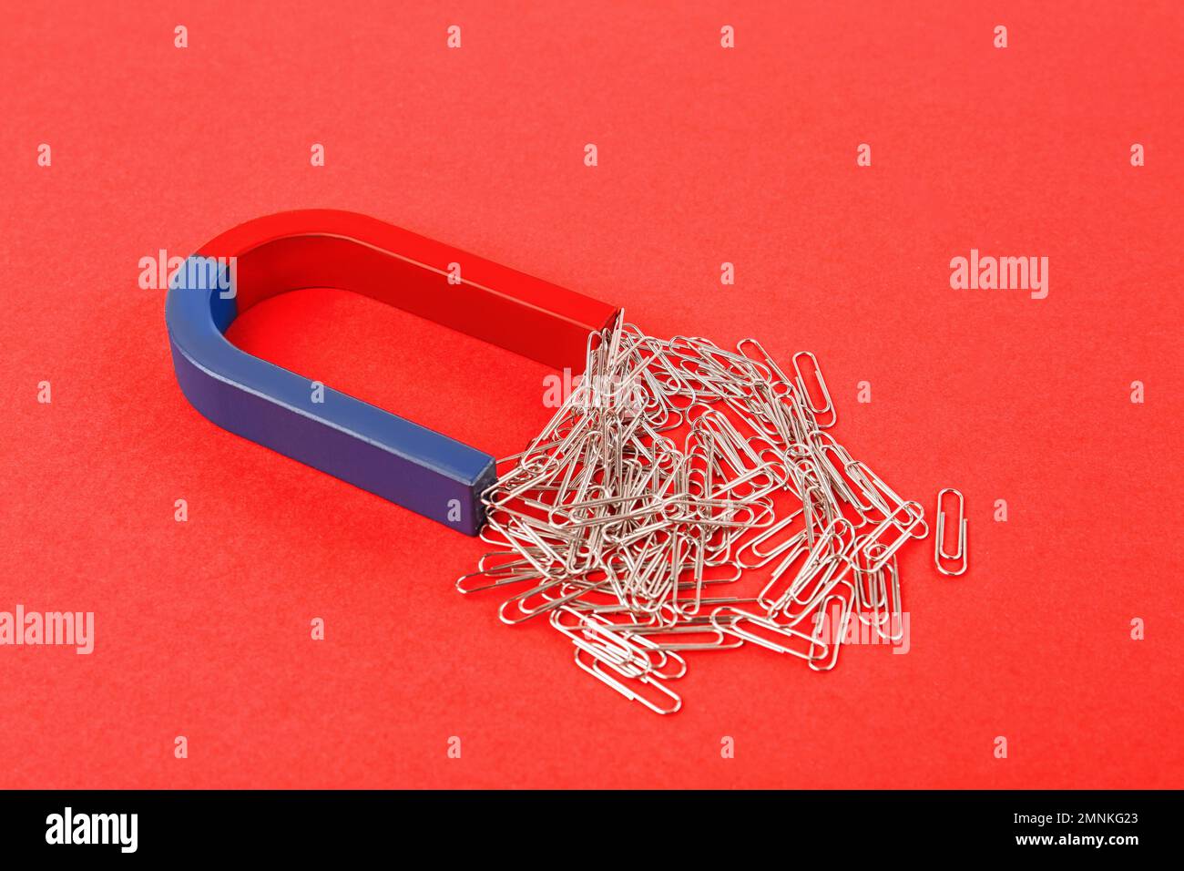Magnet attracting paper clips on red background Stock Photo - Alamy