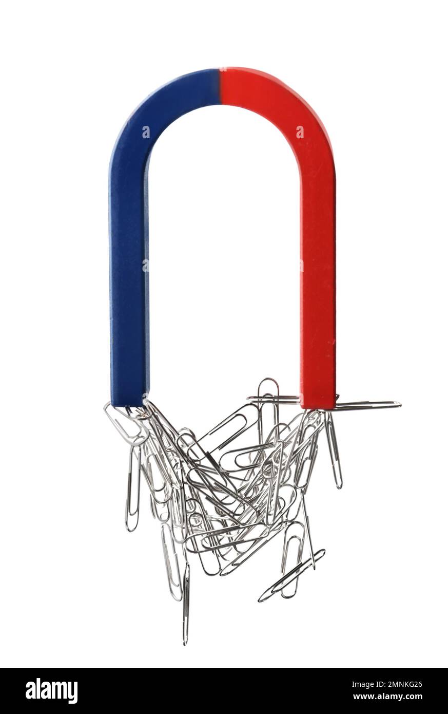 Magnet attracting paper clips on white background Stock Photo - Alamy
