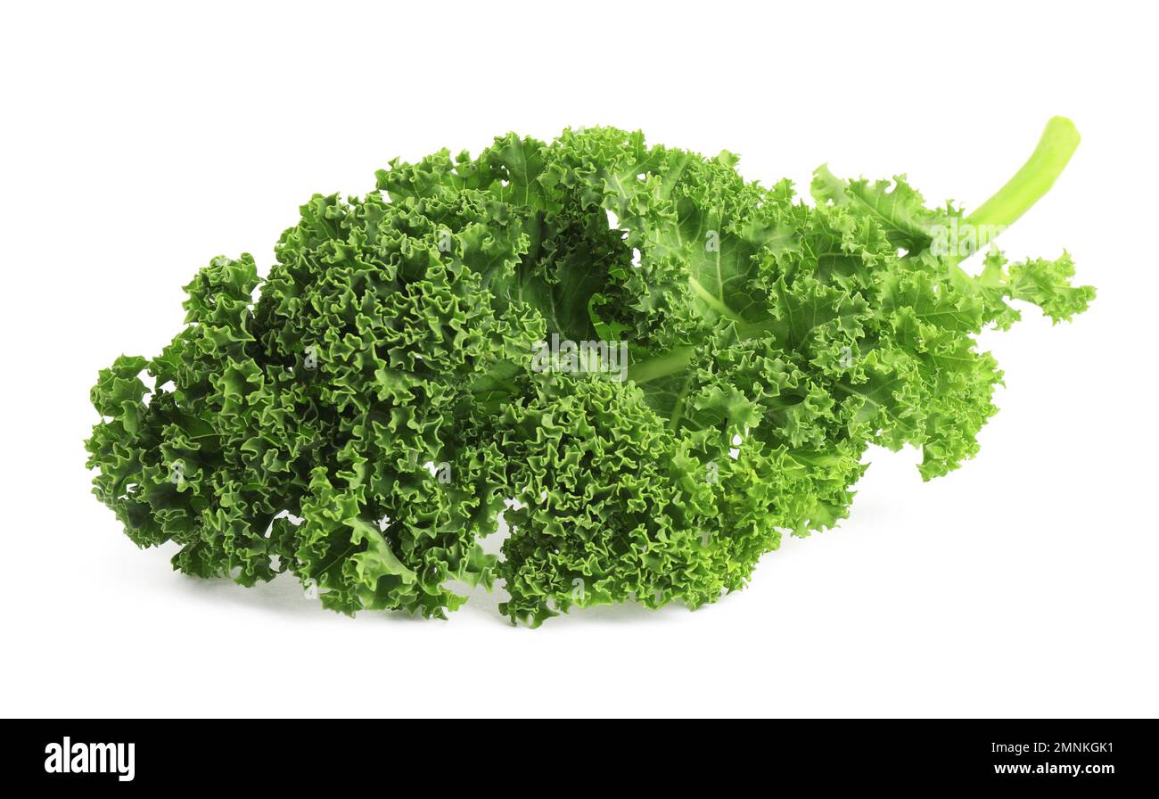 Fresh green kale leaf isolated on white Stock Photo - Alamy