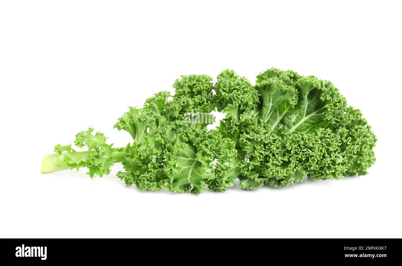 Fresh green kale leaf isolated on white Stock Photo - Alamy
