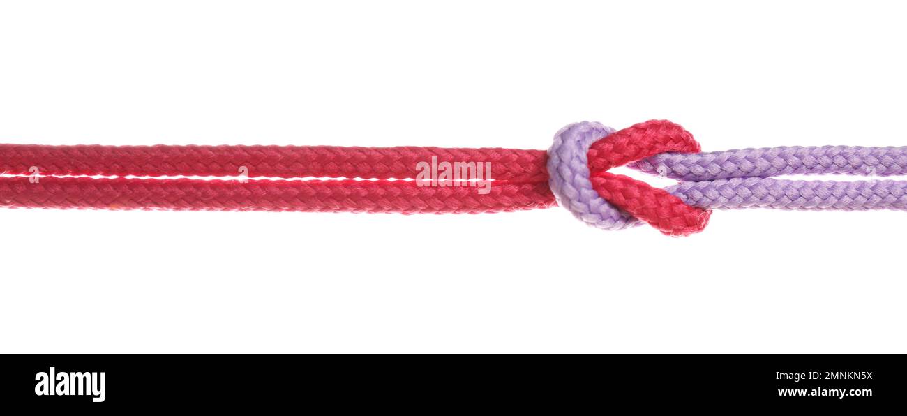 Colorful ropes tied together with knot isolated on white. Unity concept ...