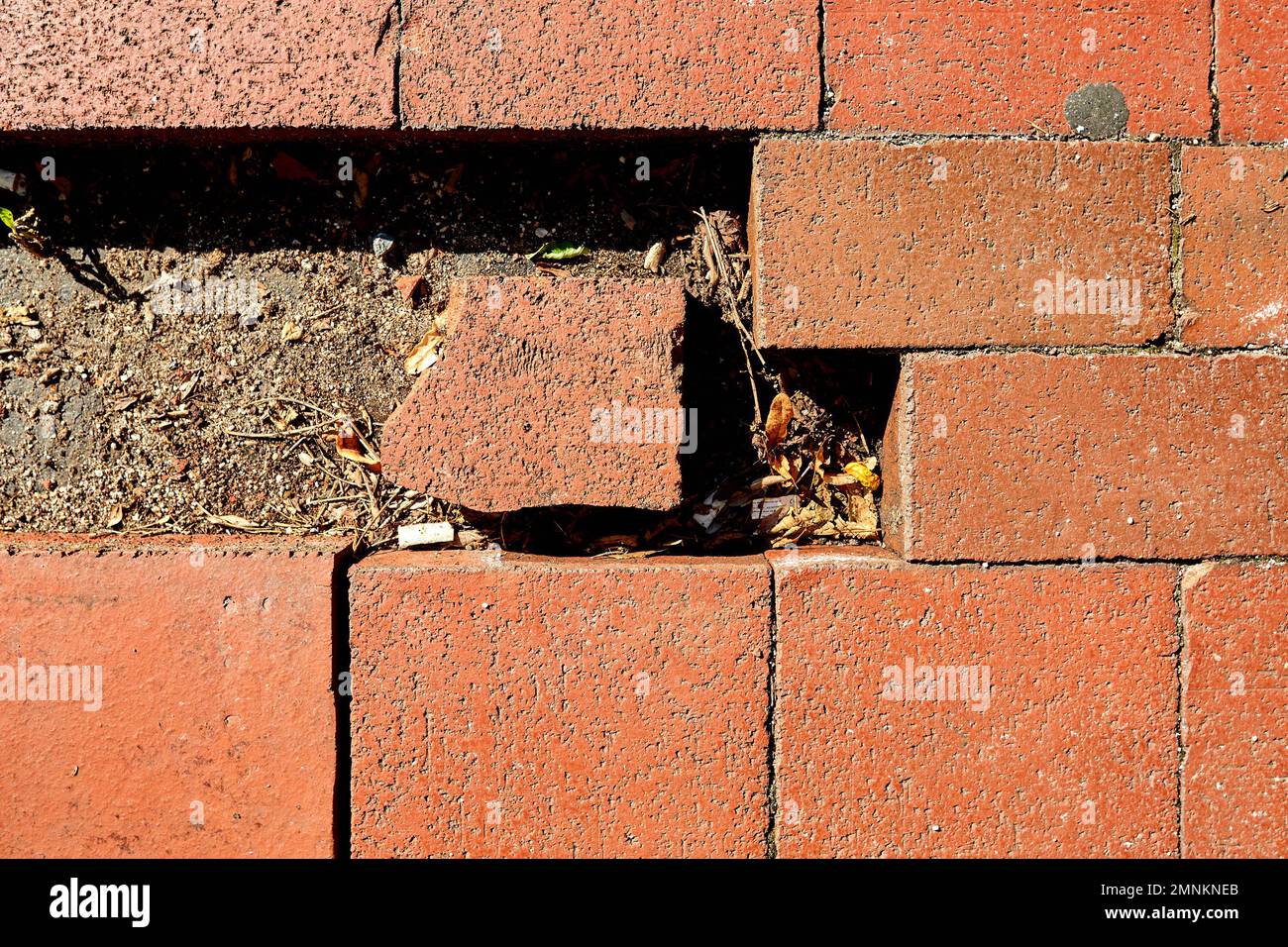 Missing Bricks in Sidewalk with Dirt and Cigarette Butt Stock Photo - Alamy