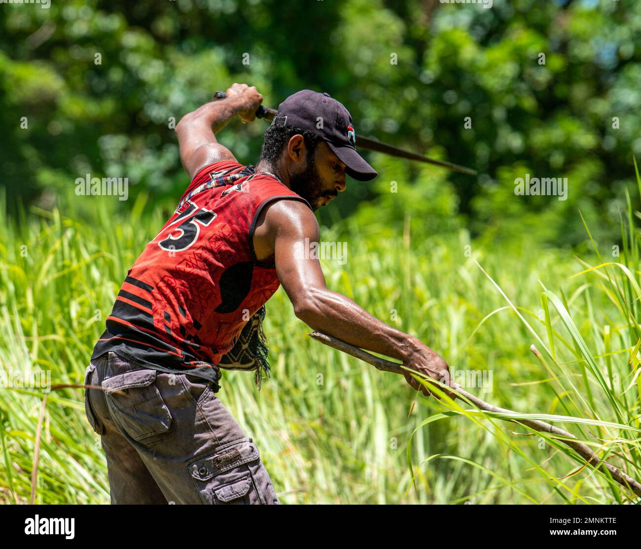 Kunai grass hi-res stock photography and images - Alamy