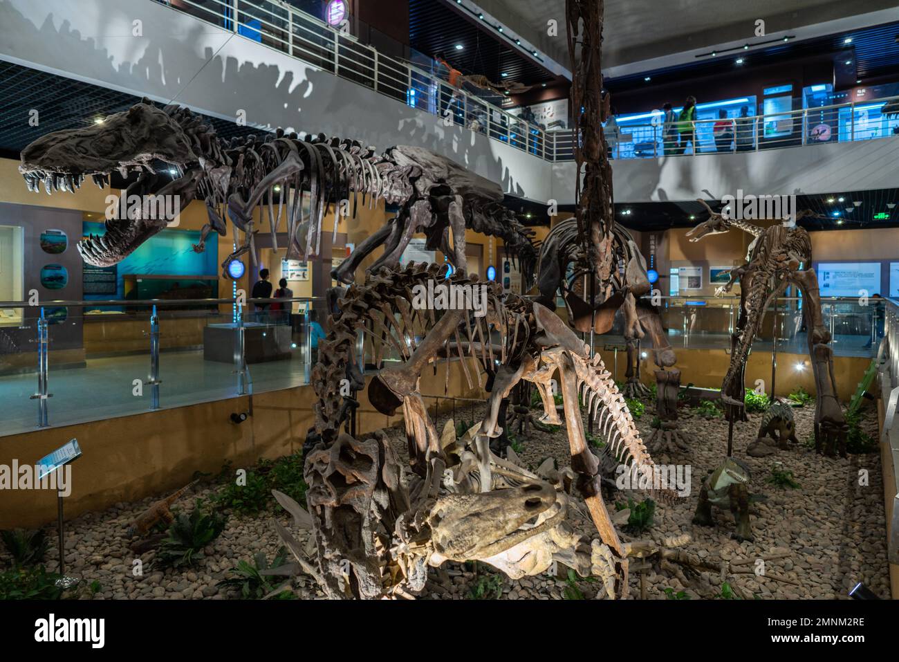 Chinese ancient animal hall hi-res stock photography and images - Alamy