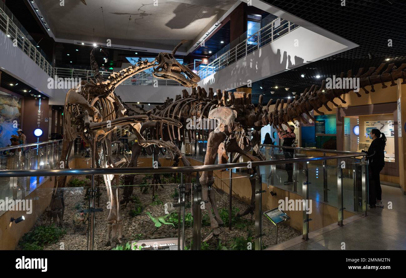 Ancient extinct animals hi-res stock photography and images - Alamy