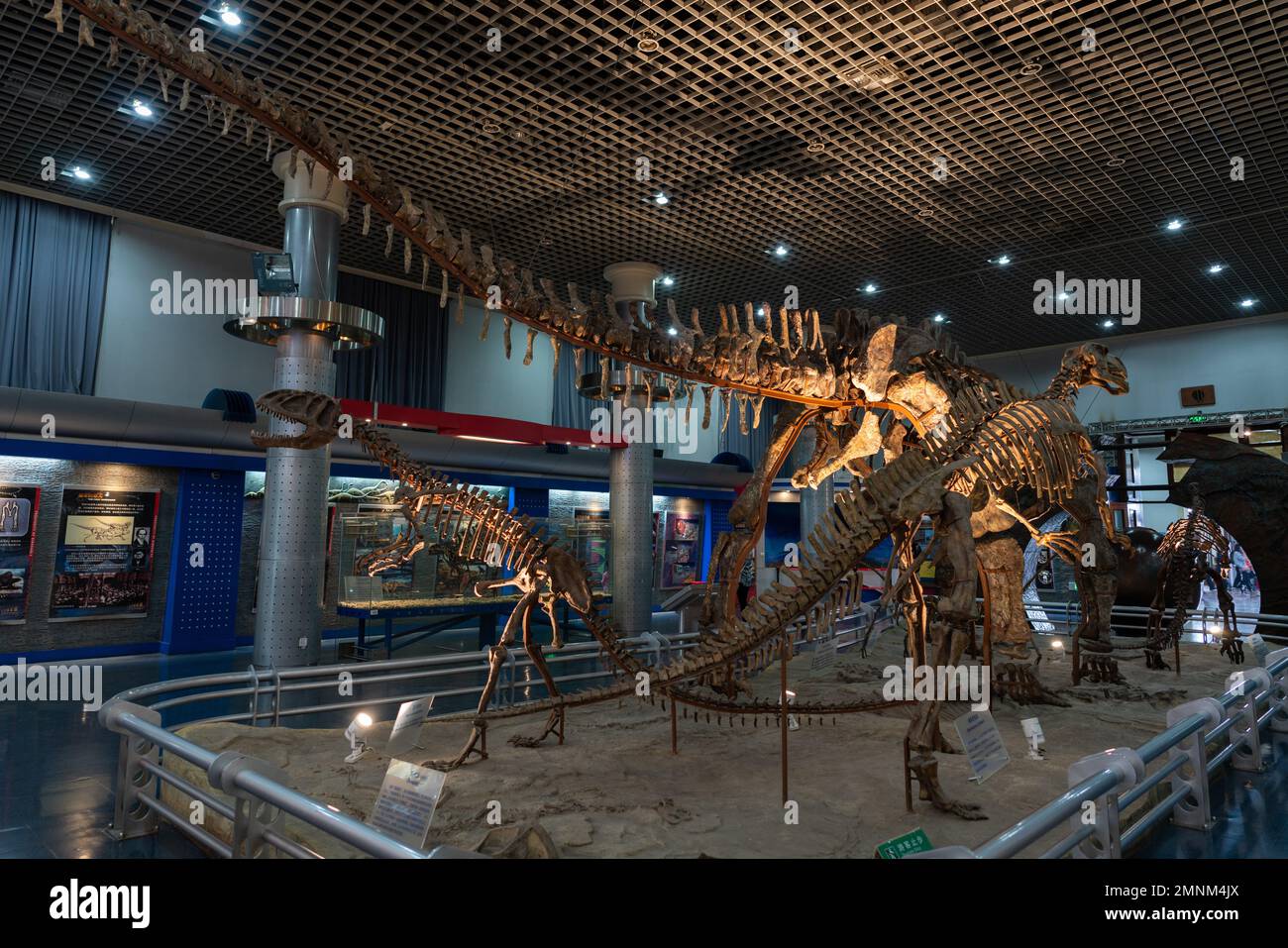 Beijing museum of natural history Stock Photo - Alamy