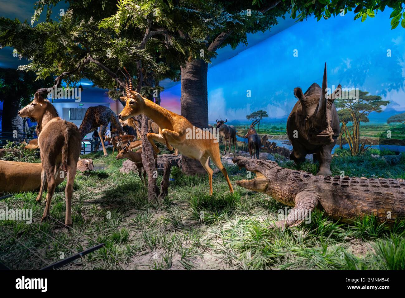 Beijing museum of natural history Stock Photo - Alamy