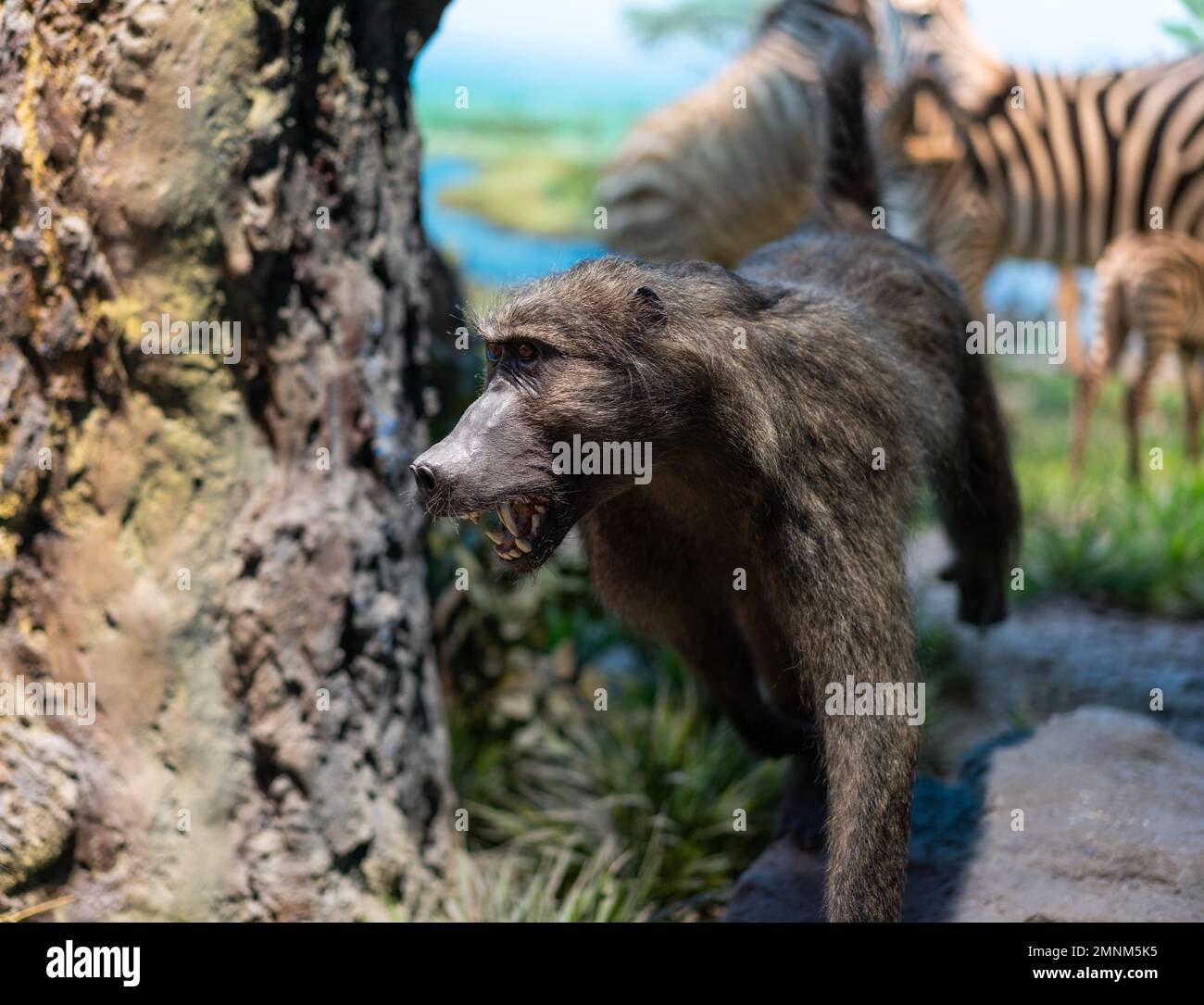 Beijing museum of natural history Stock Photo - Alamy