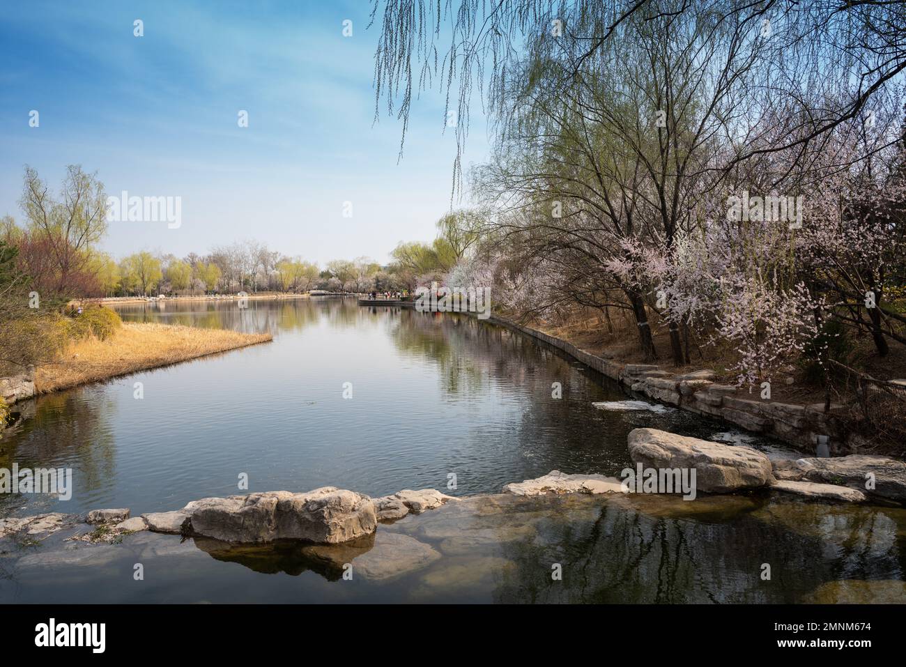 China beijing peach hi-res stock photography and images - Alamy