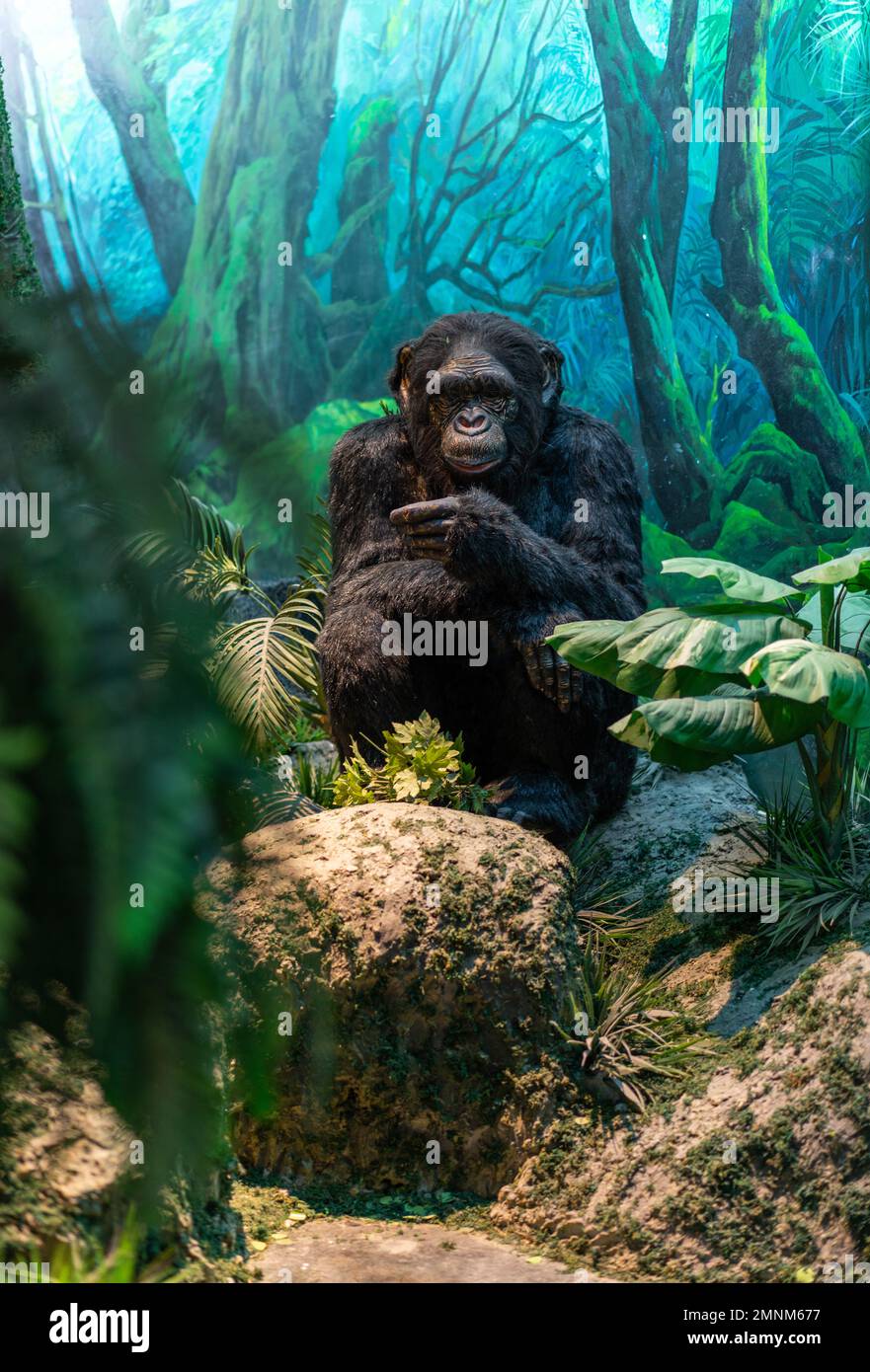 Beijing museum of natural history Stock Photo - Alamy