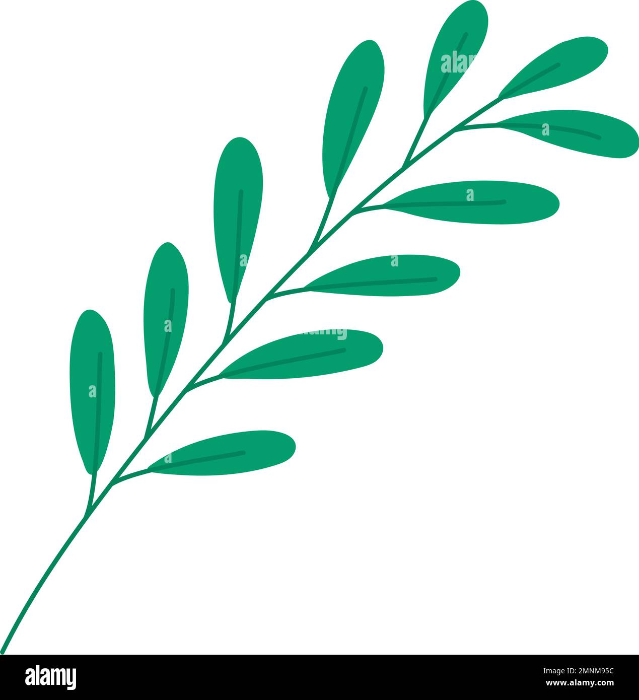 plant branch design Stock Vector Image & Art - Alamy