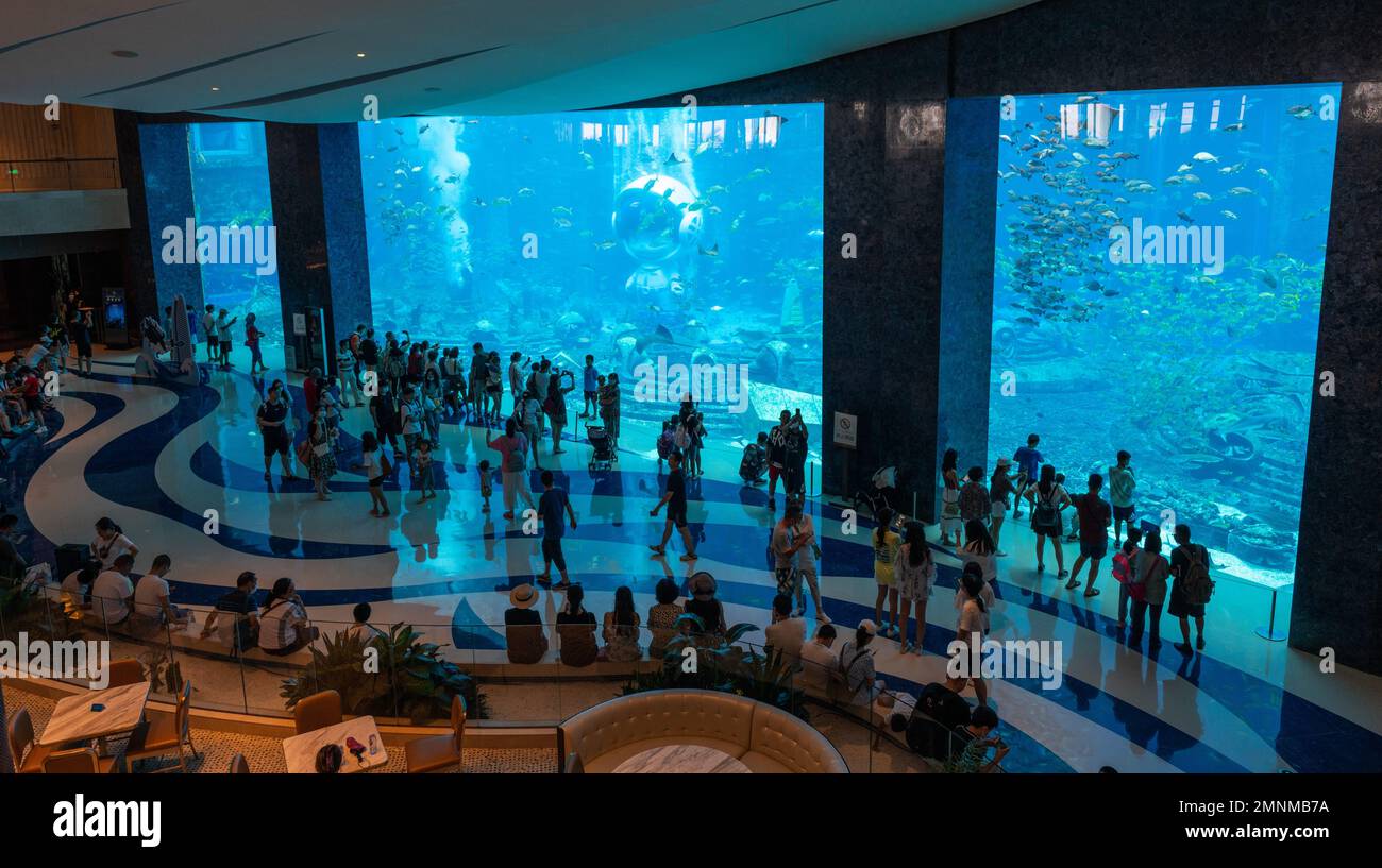Atlantis hotel aquarium Stock Photo - Alamy
