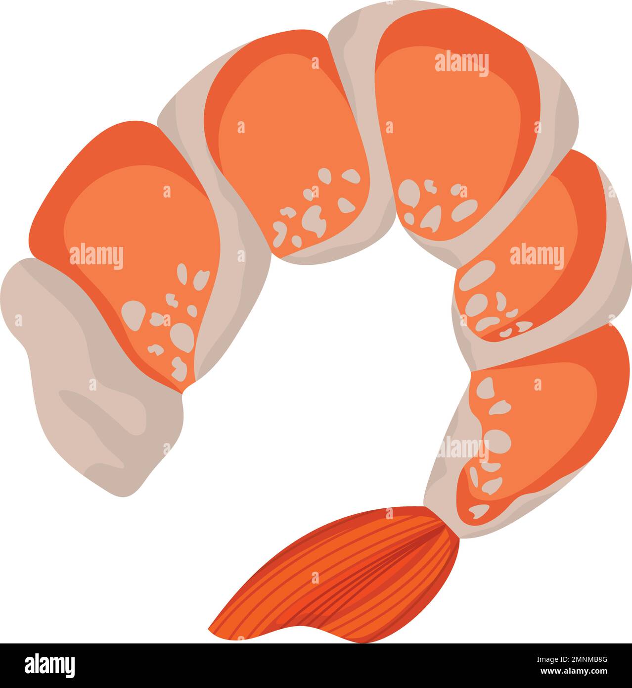 cute shrimp design Stock Vector Image & Art - Alamy