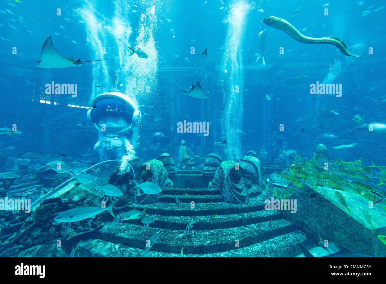 Atlantis hotel aquarium Stock Photo - Alamy