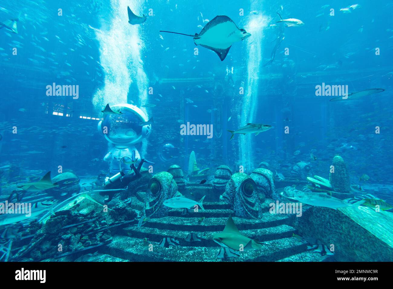 Atlantis hotel aquarium Stock Photo - Alamy