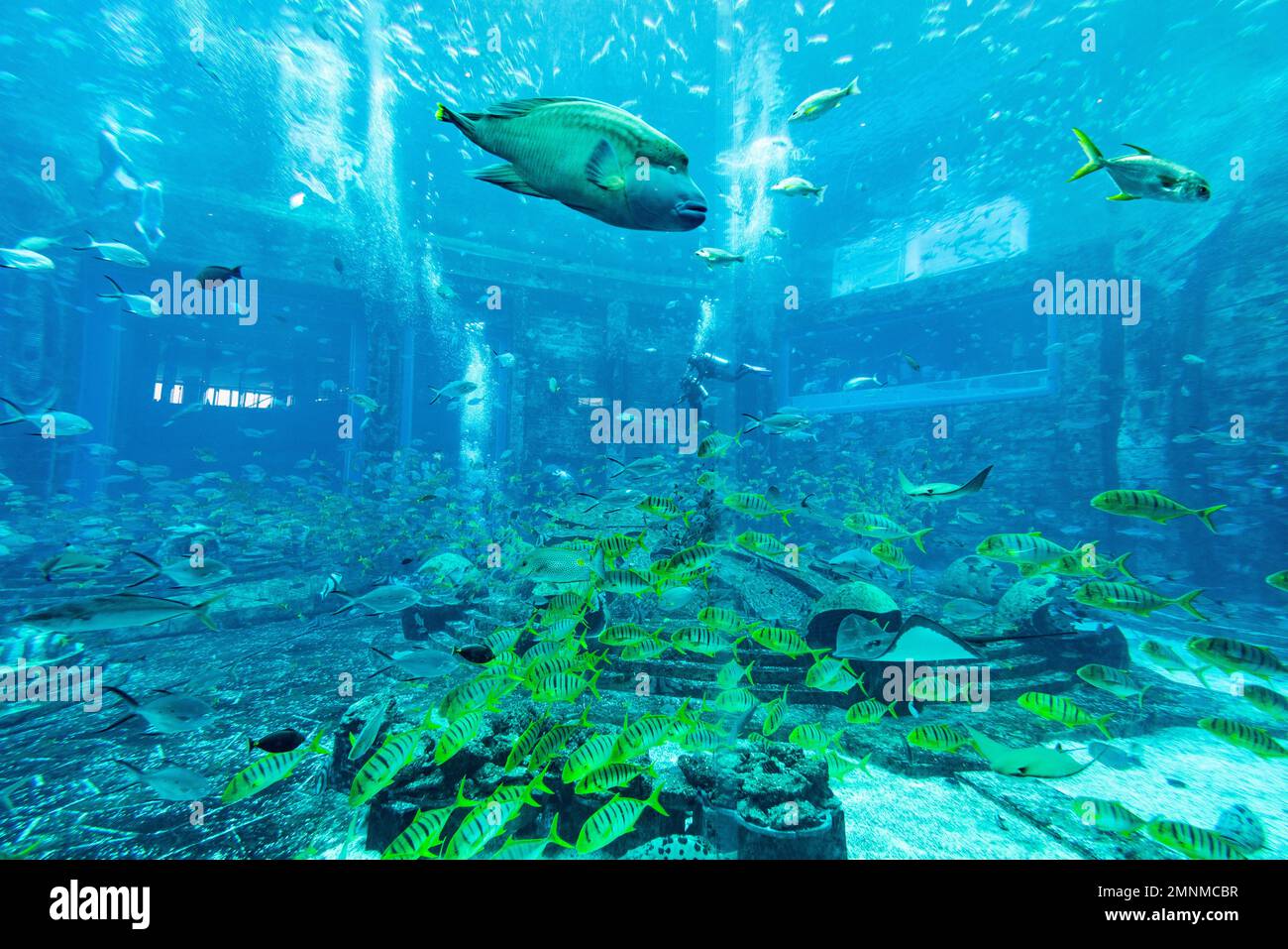 Atlantis hotel aquarium Stock Photo - Alamy