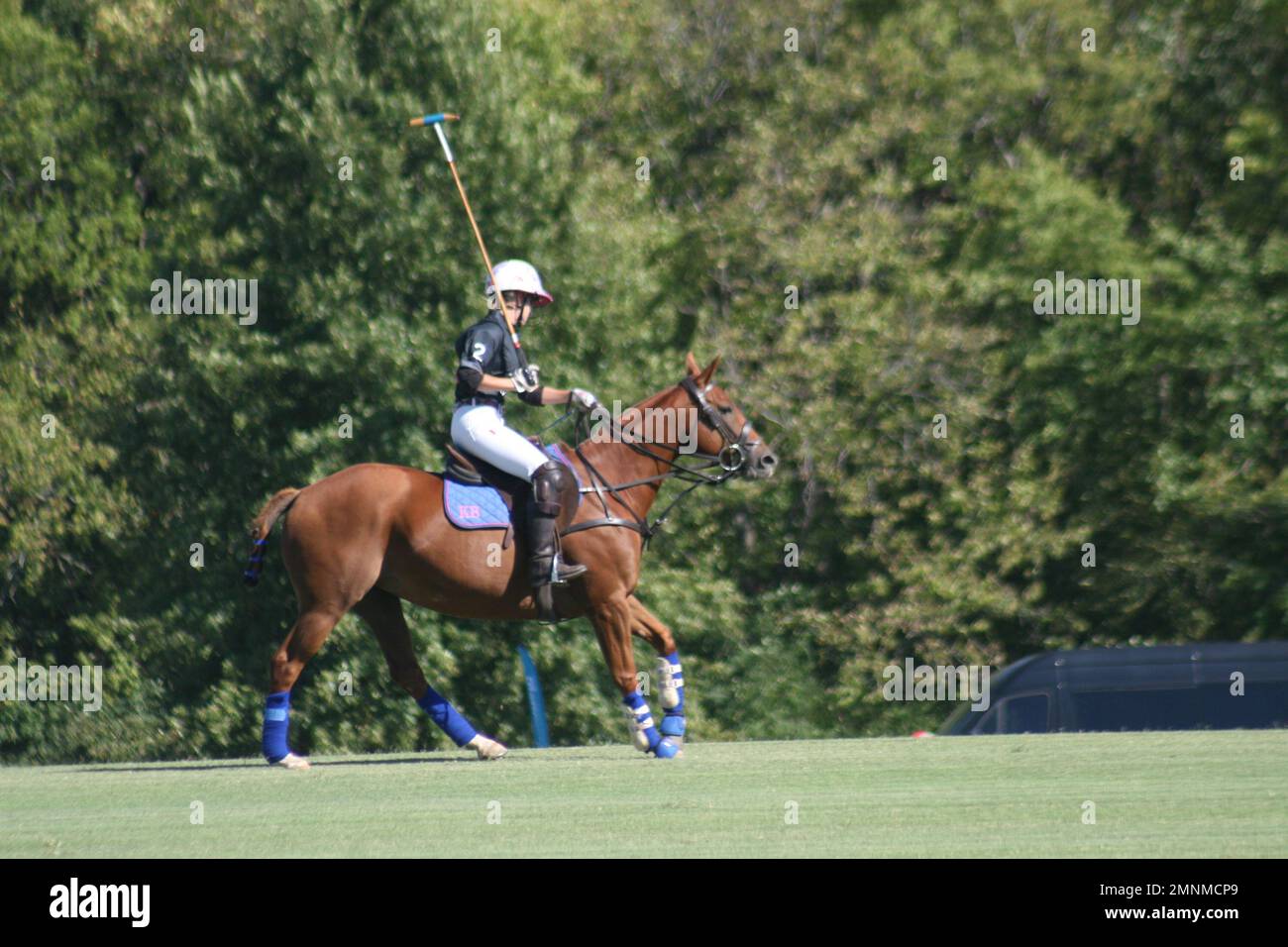 The Glennon Gallop 2022 a Polo Match played for the Danis Pediatrics ...