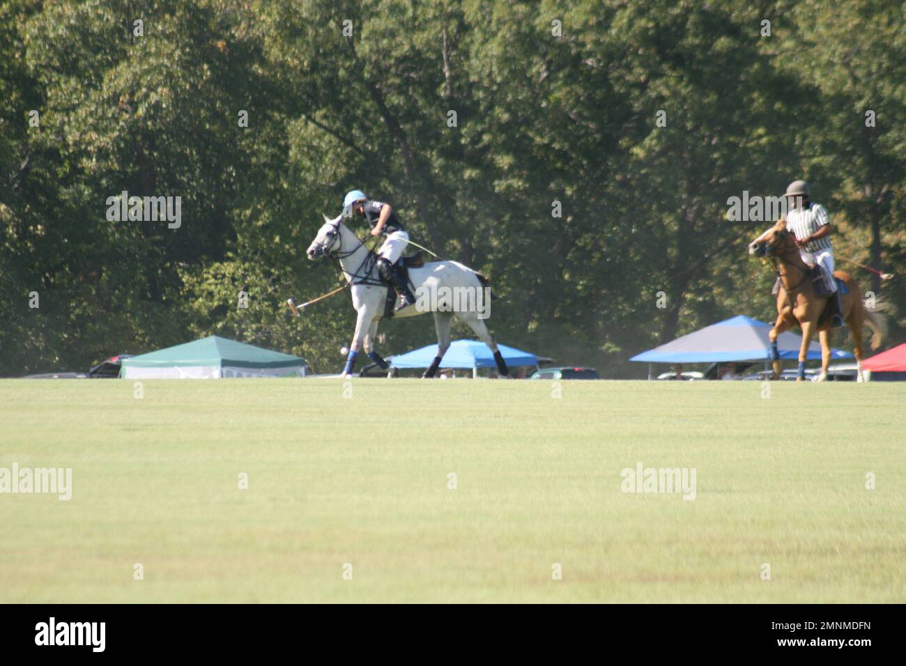 The Glennon Gallop 2022 a Polo Match played for the Danis Pediatrics ...