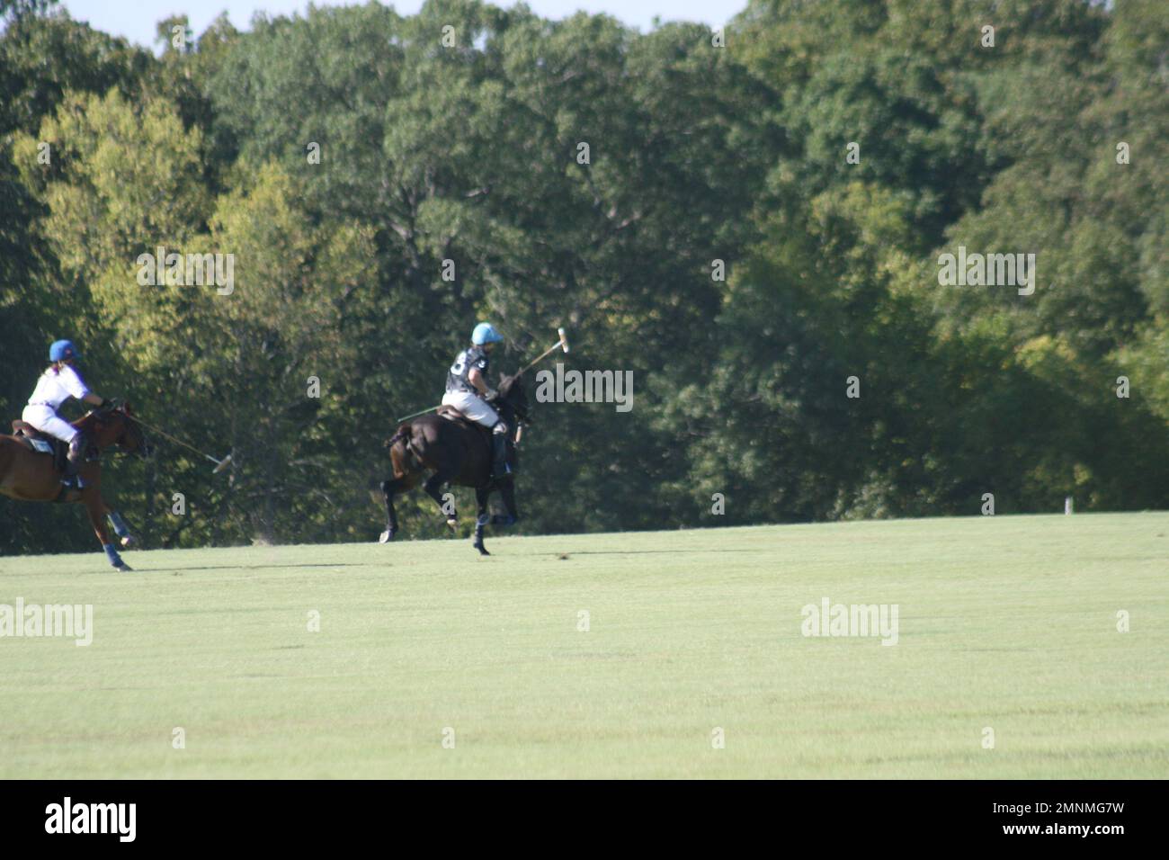 The Glennon Gallop 2022 a Polo Match played for the Danis Pediatrics ...