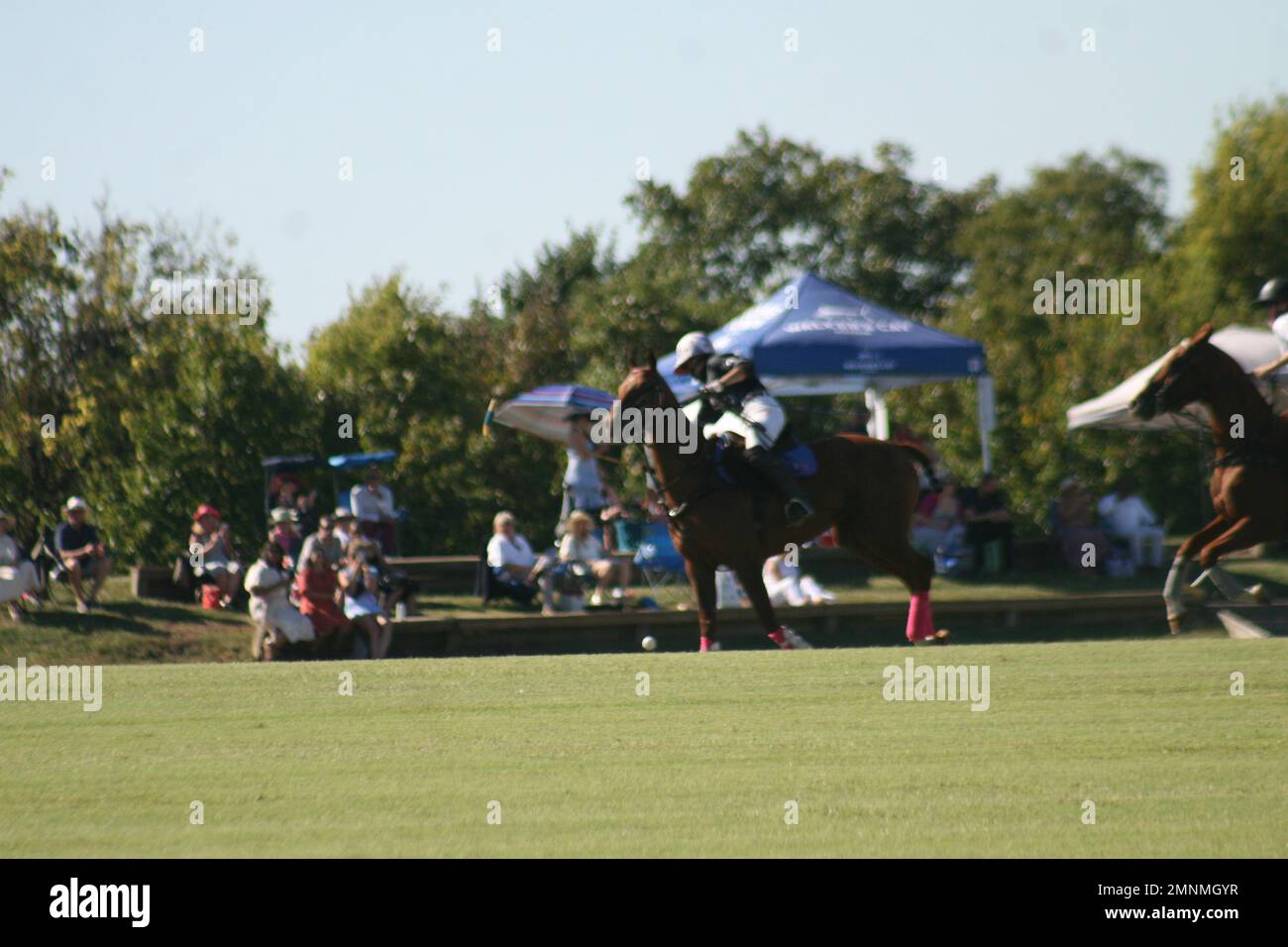 The Glennon Gallop 2022 a Polo Match played for the Danis Pediatrics ...