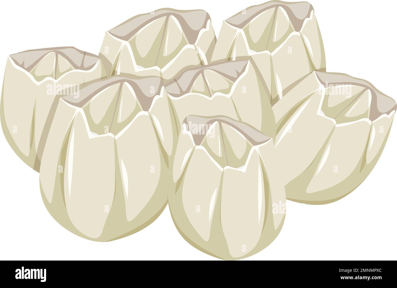 Barnacles isolated rocky shore animal illustration Stock Vector Image ...