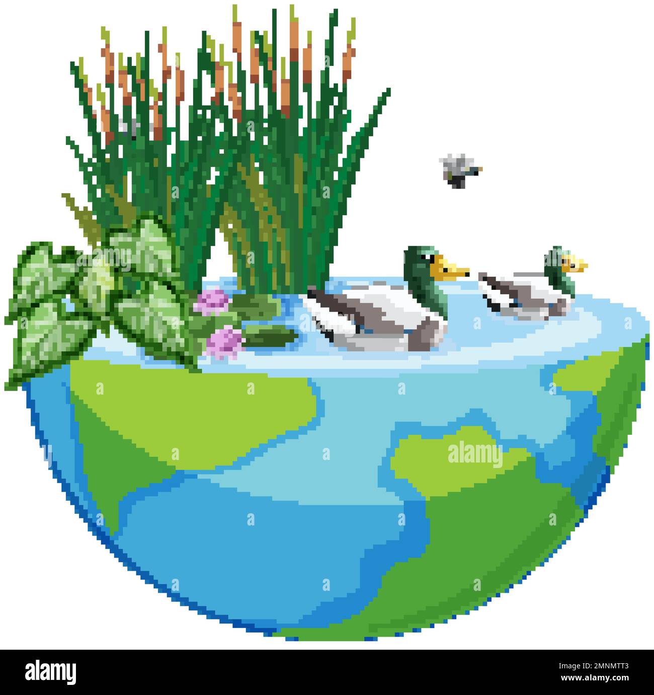 Duck in water on half earth illustration Stock Vector Image & Art - Alamy